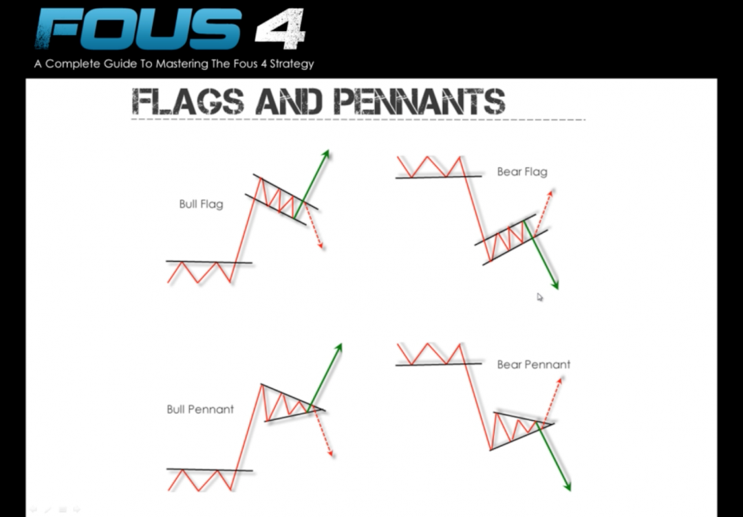 Fous Alerts Review: My Experience With Cameron Fous